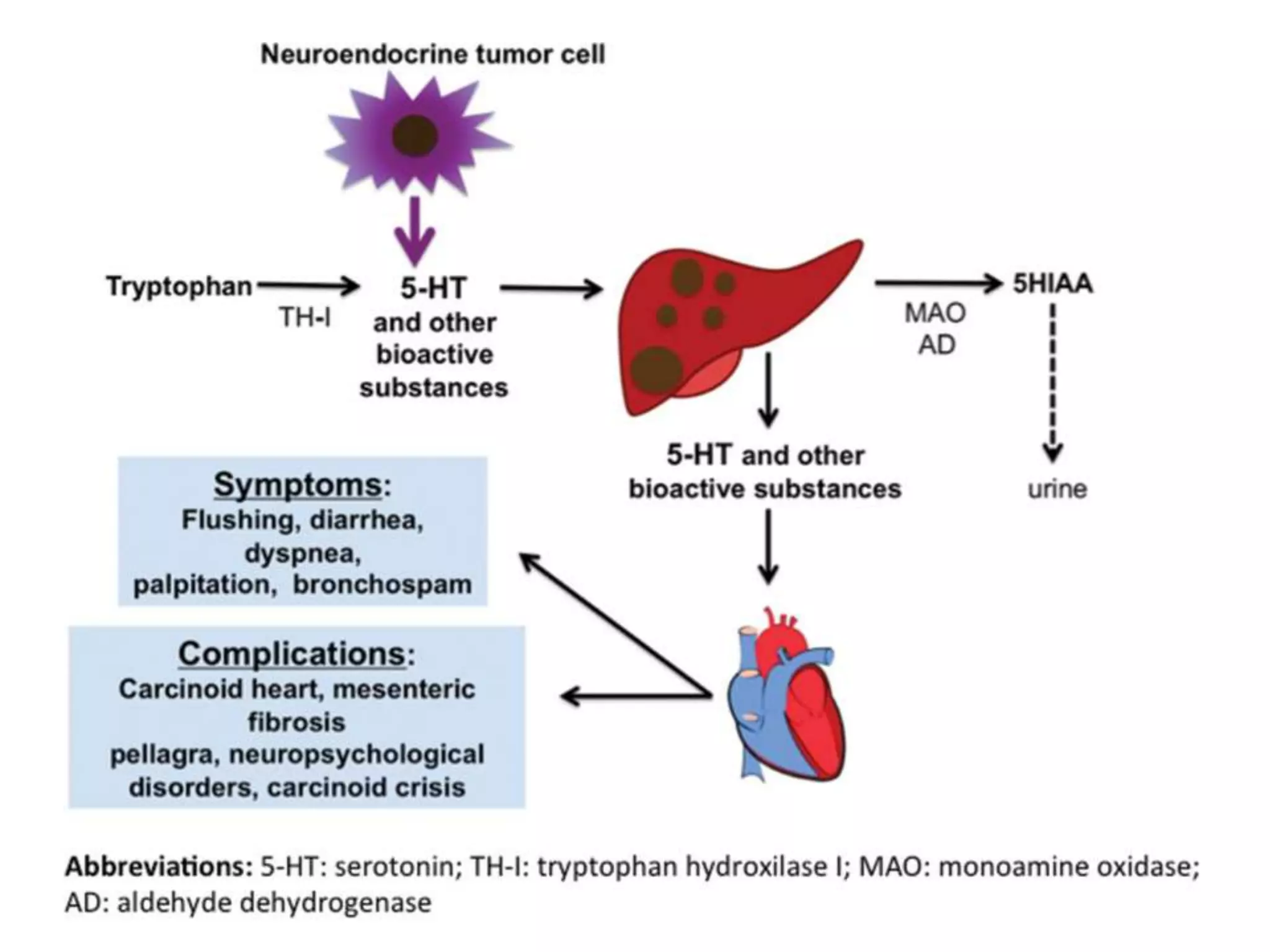 Gastro-Intestinal Neuro Endocrine Tumor | PPTX