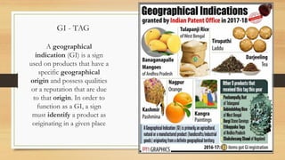 Gi tag-1 | PDF