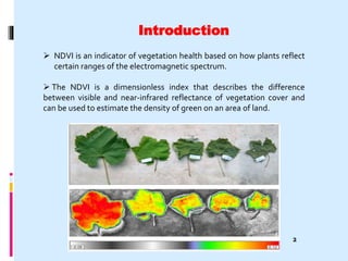 Normalized Difference Vegetation Index (NDVI) | PPTX