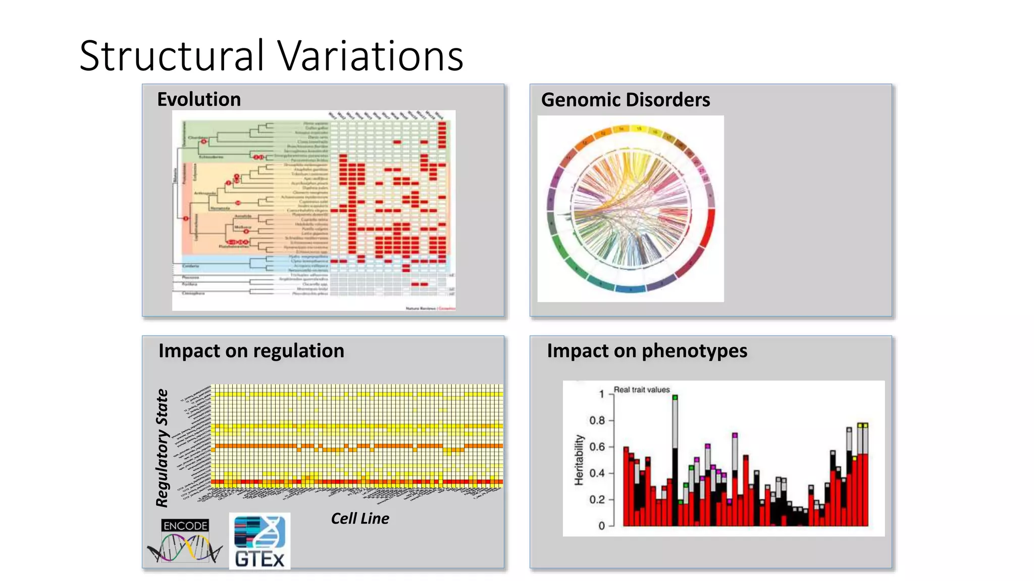 Giab sv genotyping | PPTX