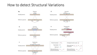 Giab sv genotyping | PPTX