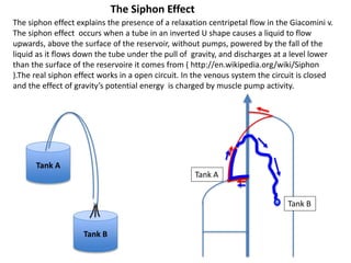 GIACOMINI VARICOSE VEINS ORIGINATING FROM THE POPLITEAL FOSSA | PPTX
