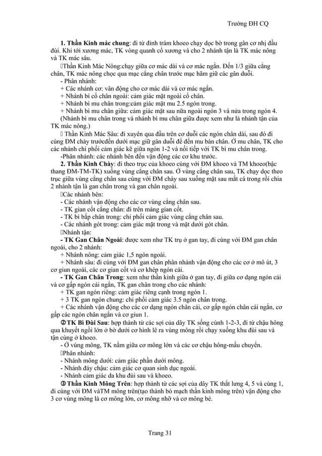 Giai phau chi tren chi duoi - đh cam quyt | DOC