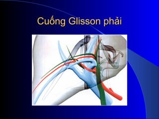 Giaiphaugan | PPT