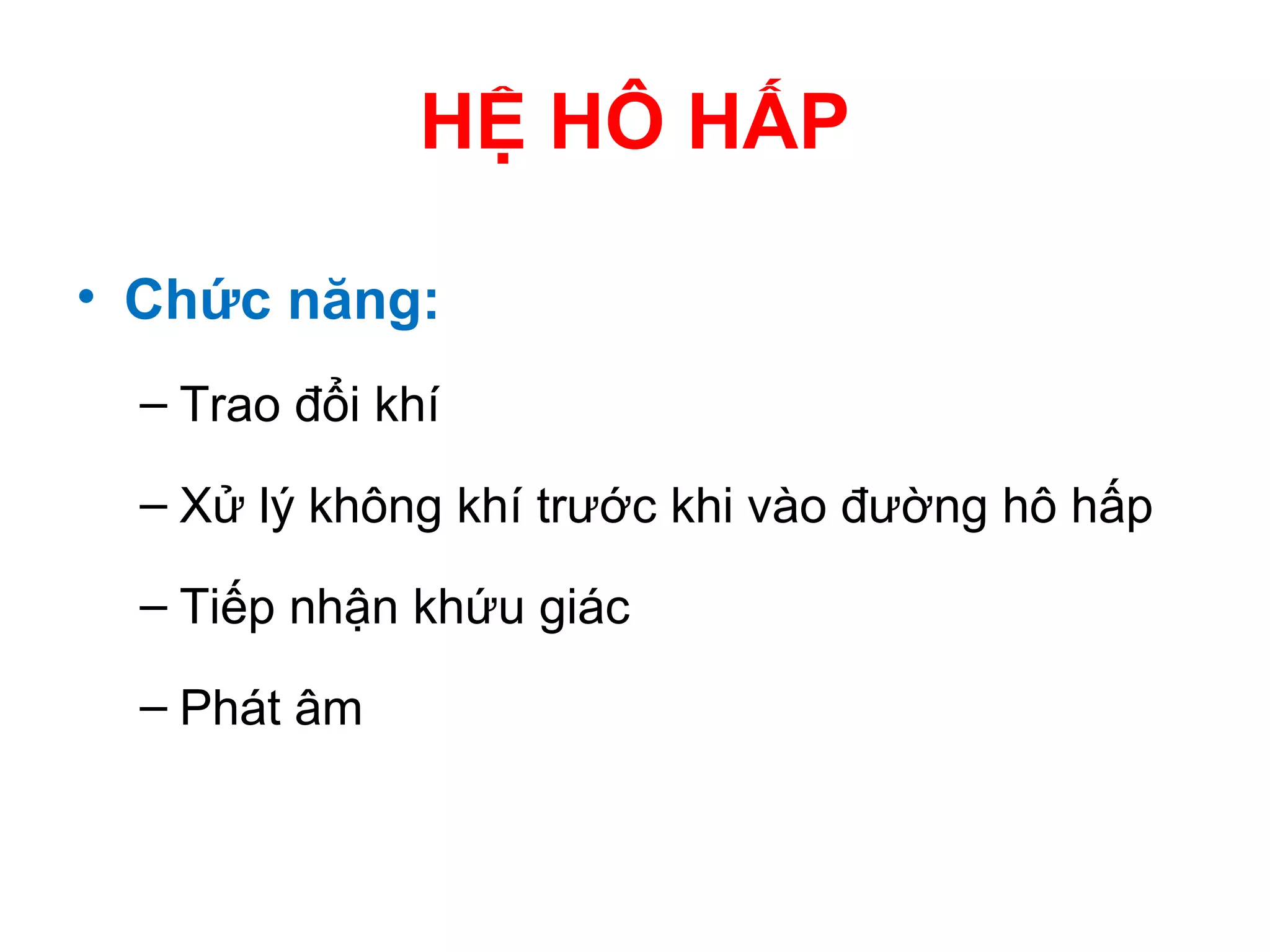 Giai phau he ho hap 2015 cndd | PPT