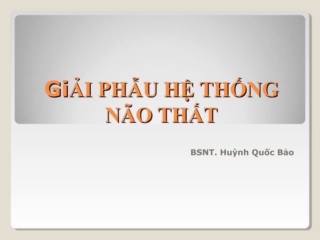 Giai phau nao that | PPT