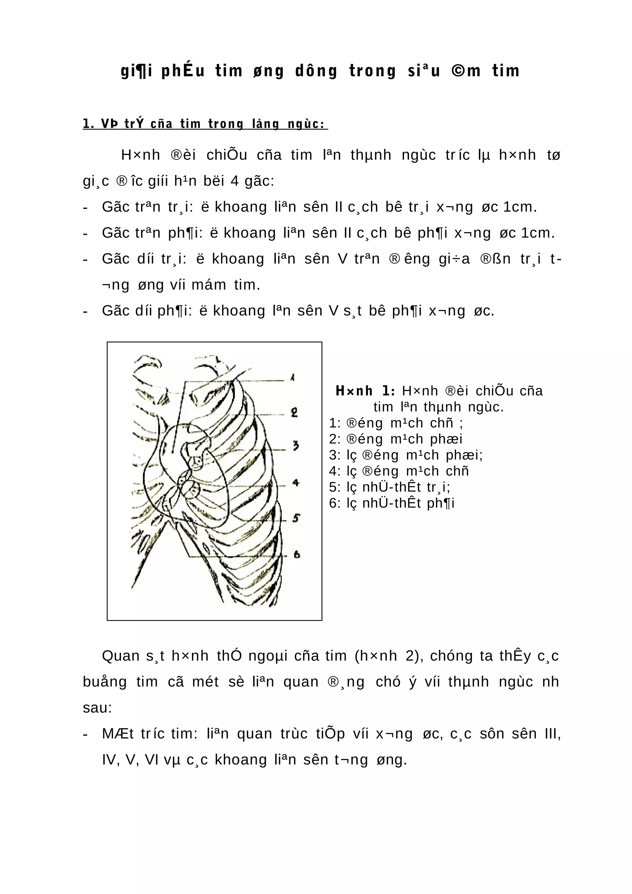 Giai phau tim ung dung trong sieu am | DOC