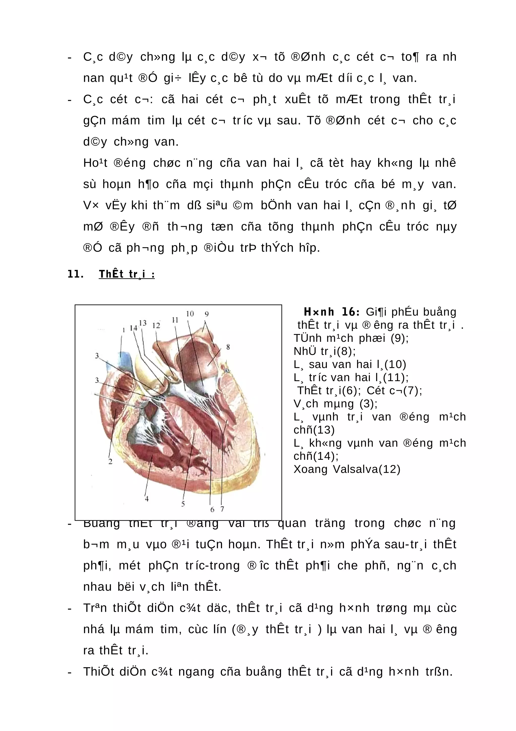 Giai phau tim ung dung trong sieu am | DOC