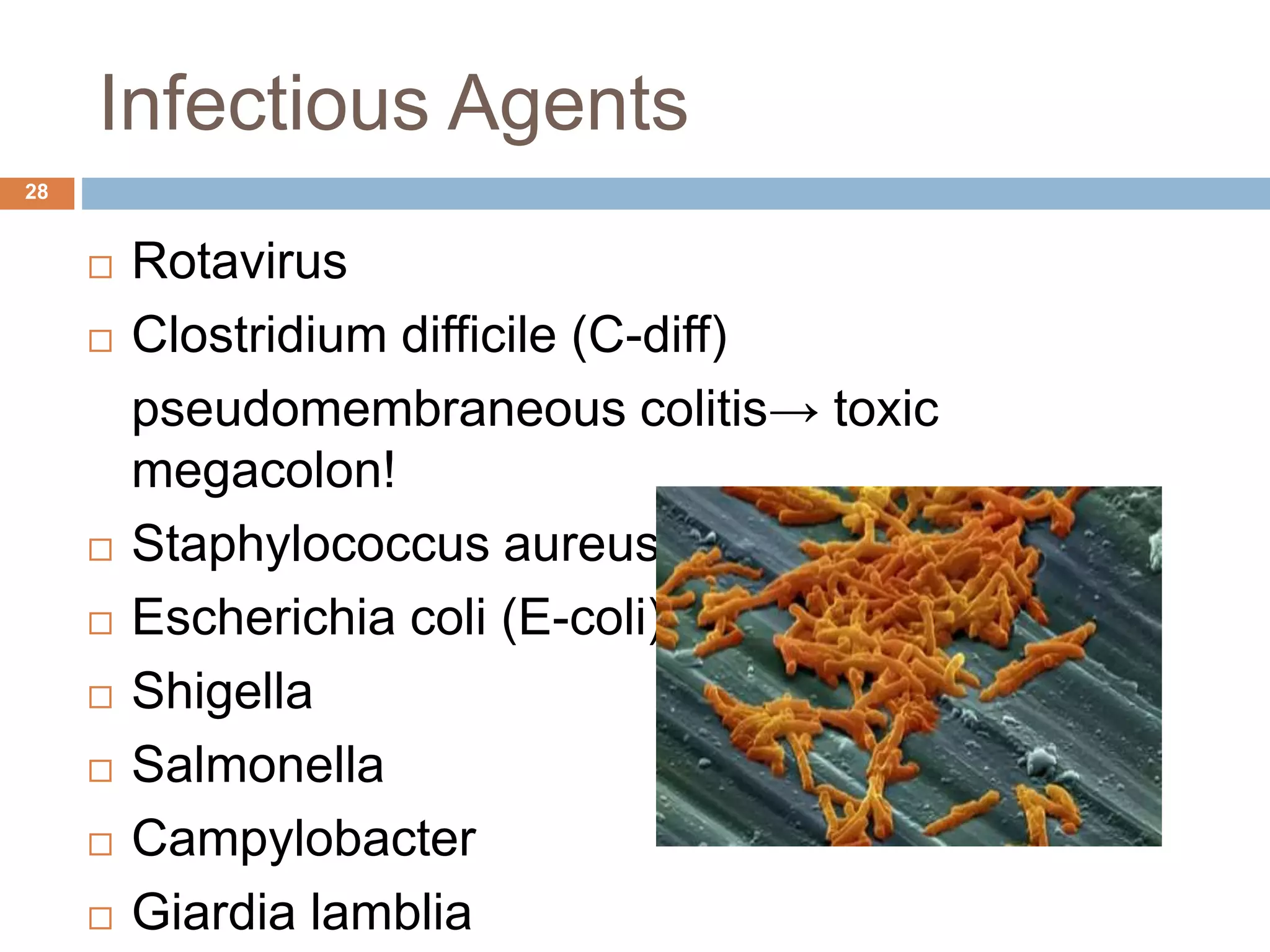 GI and Hepatobiliary lecture | PPTX
