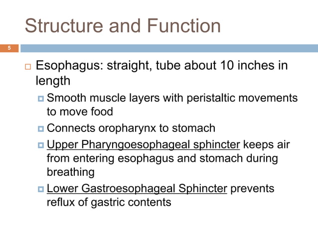 GI and Hepatobiliary lecture | PPTX | Digestive Disorders | Diseases ...