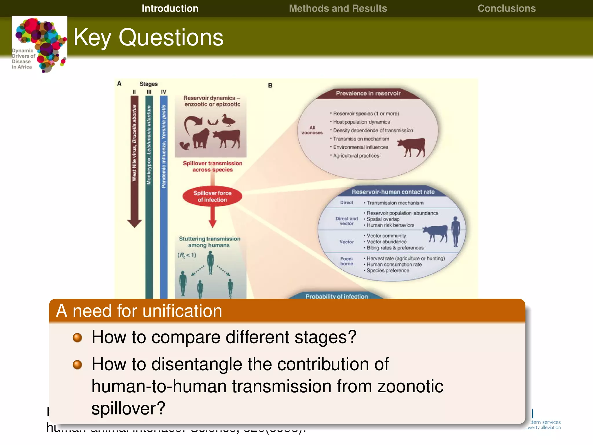 A unified framework for the infection dynamics of zoonotic spillover ...