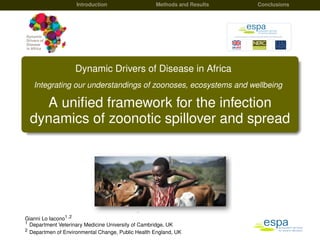 A unified framework for the infection dynamics of zoonotic spillover ...