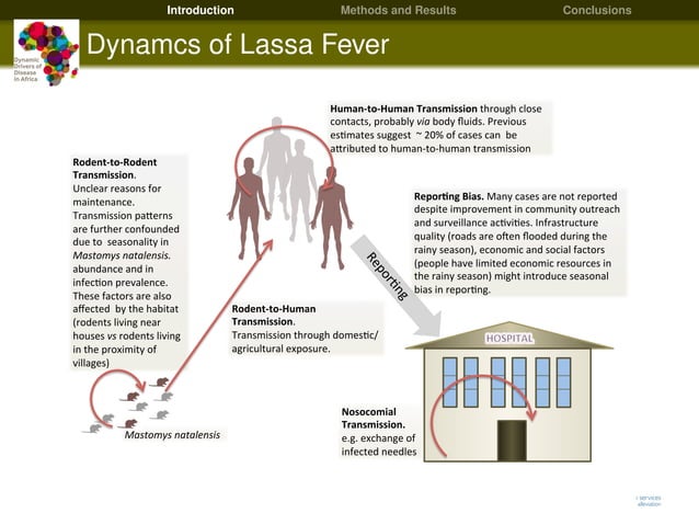 A unified framework for the infection dynamics of zoonotic spillover ...