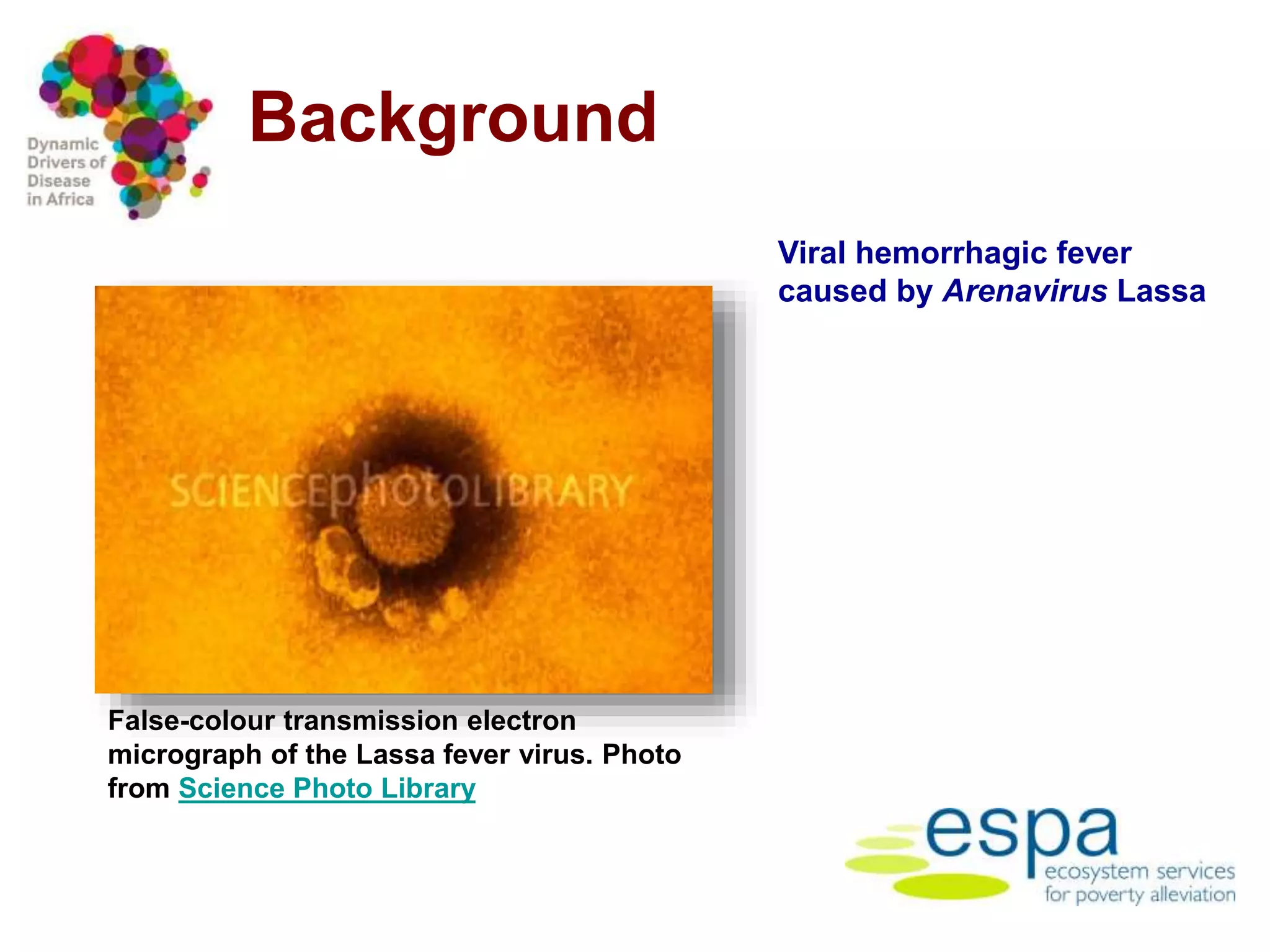 Estimating the contribution of human-to-human transmission to Lassa ...