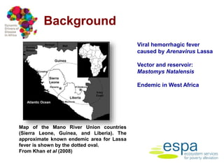 Estimating the contribution of human-to-human transmission to Lassa ...