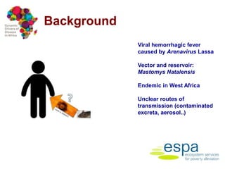 Estimating the contribution of human-to-human transmission to Lassa ...