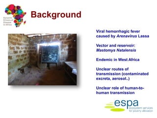 Estimating the contribution of human-to-human transmission to Lassa ...