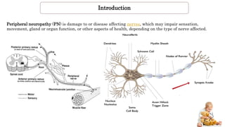 Giant axonal neuropathy | PPT