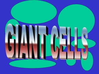 GIANT Cell tumour orthopaedics pathology.ppt