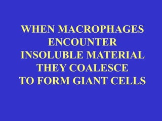 GIANT Cell tumour orthopaedics pathology.ppt