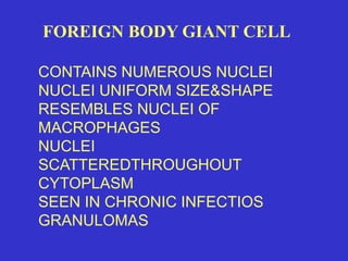 GIANT Cell tumour orthopaedics pathology.ppt