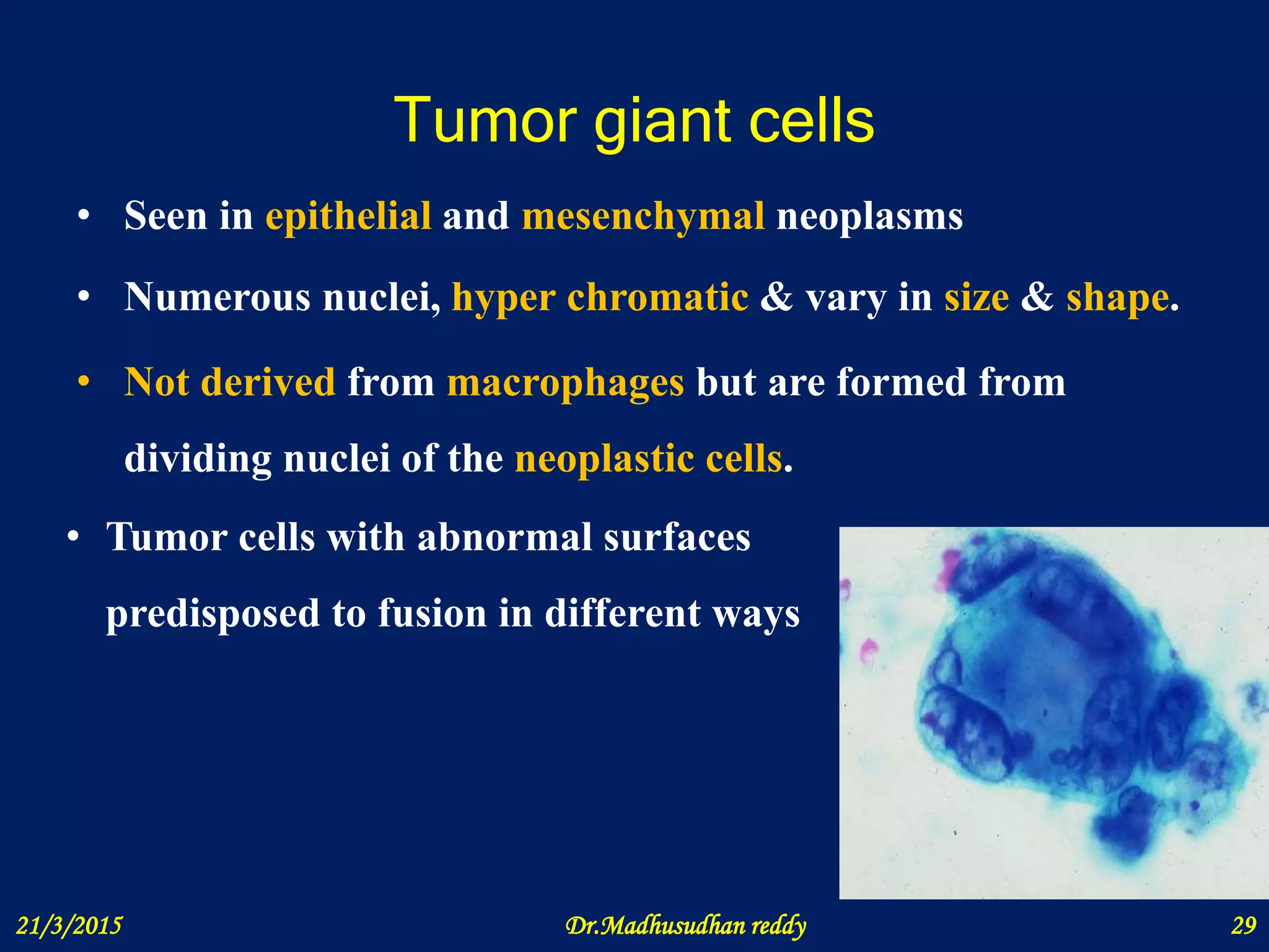 Giant cell formation and function ppt | PPTX