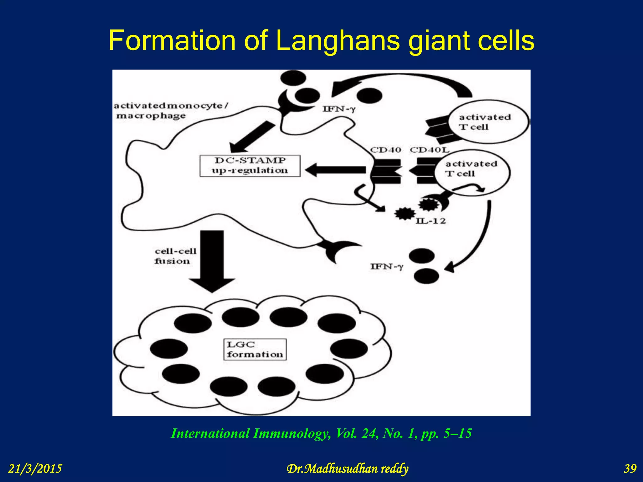 Giant cell formation and function ppt | PPTX