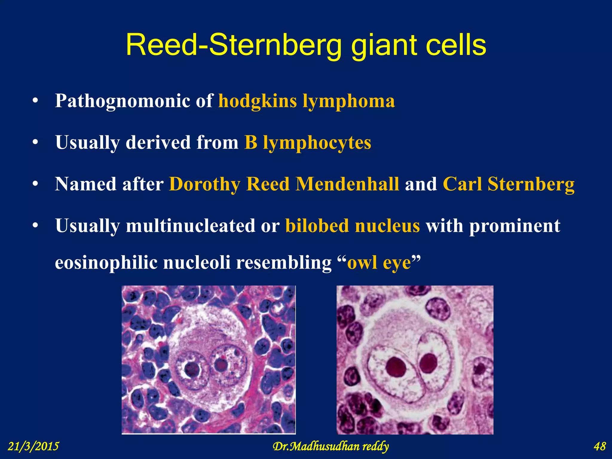 Giant cell formation and function ppt | PPTX