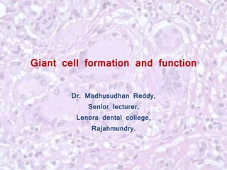 Giant cell formation and function ppt | PPTX