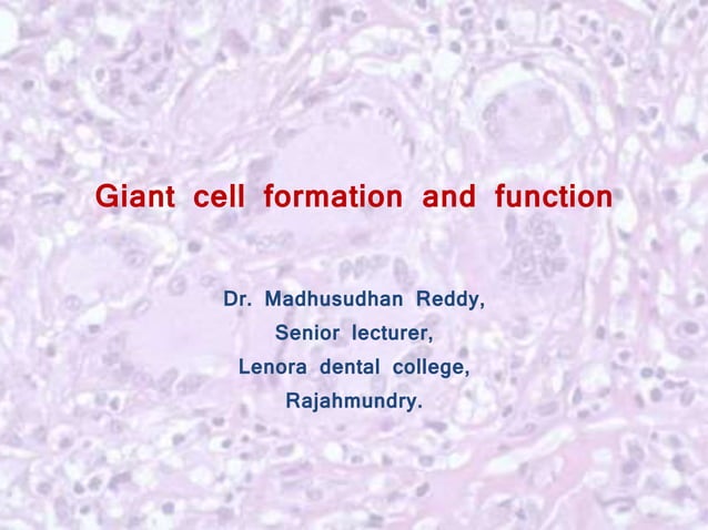 Giant cell formation and function ppt | PPTX | Biological Sciences ...