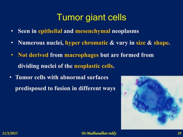 Giant cell formation and function ppt | PPTX | Biological Sciences ...