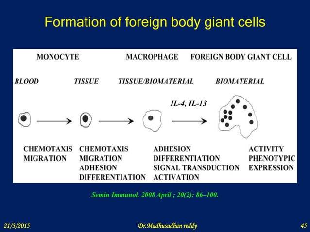 Giant cell formation and function ppt | PPTX | Biological Sciences ...