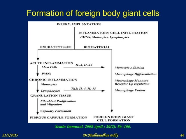 Giant cell formation and function ppt | PPTX | Biological Sciences ...