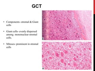 Giant cell lesion.pptx