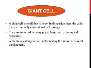 Giant cell lesion.pptx