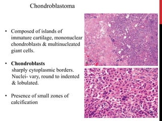 Giant cell lesion.pptx