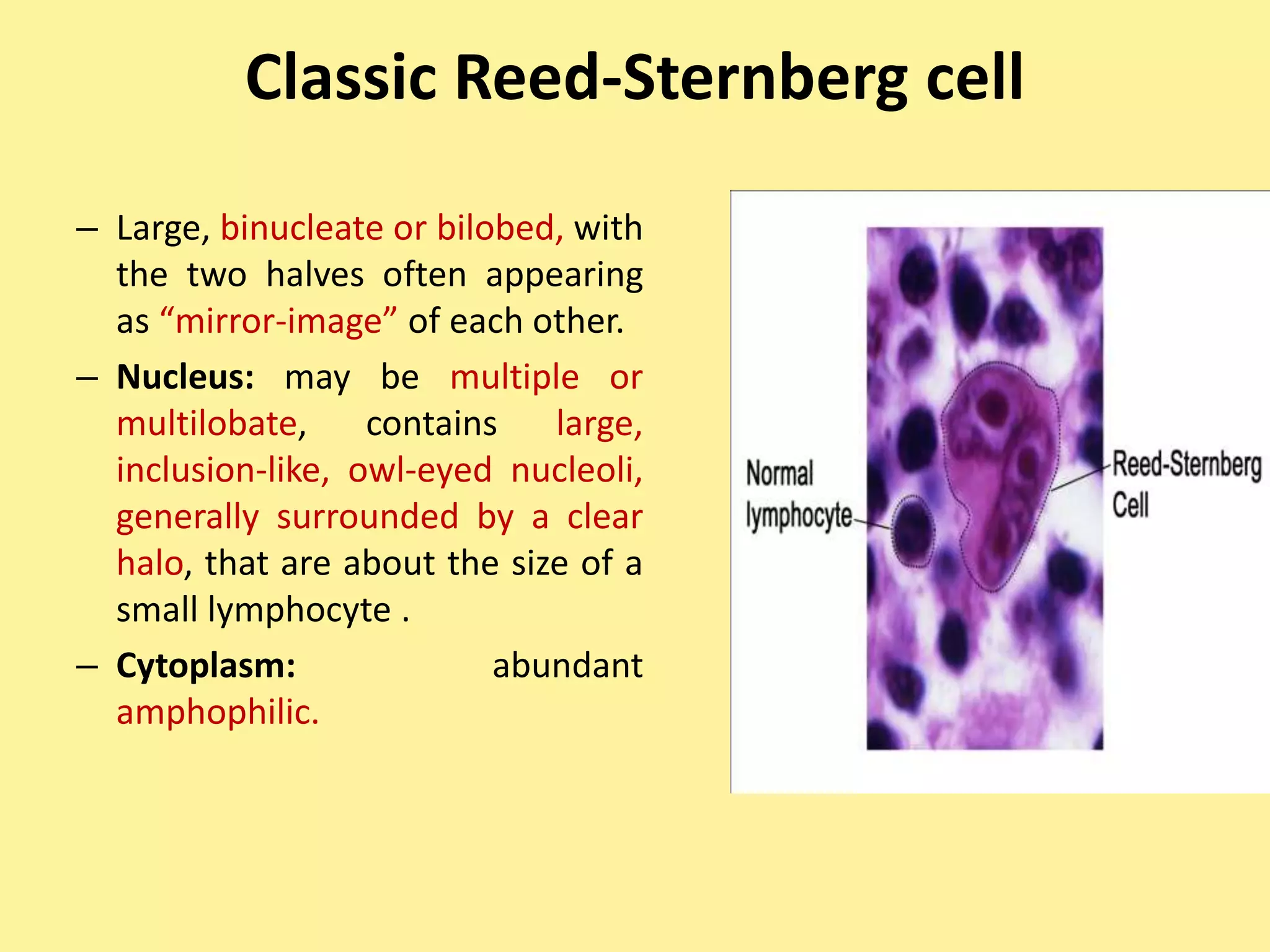 GIANT CELL LESIONS.pptx
