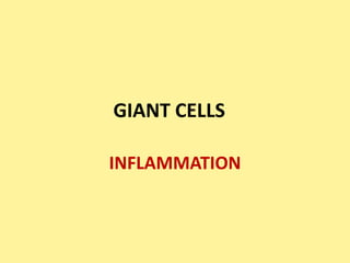GIANT CELL LESIONS.pptx