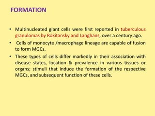 GIANT CELL LESIONS.pptx