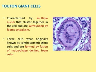 GIANT CELL LESIONS.pptx
