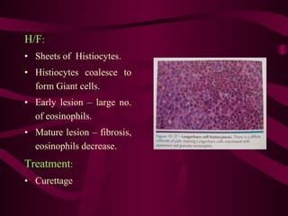 Giant cell lesion’s of jaw | PPT