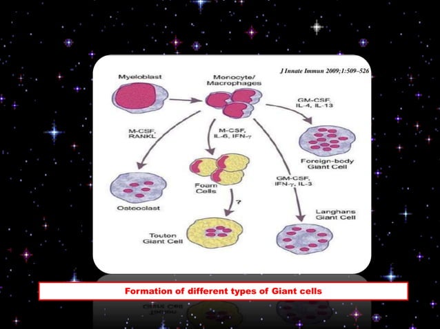 Giant cells | PPTX | Biological Sciences | Science