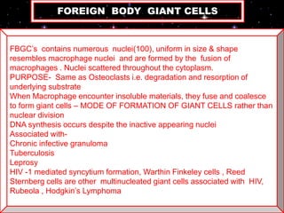 Giant cells | PPTX