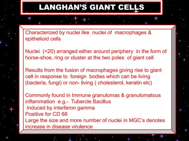 Giant cells | PPTX | Biological Sciences | Science