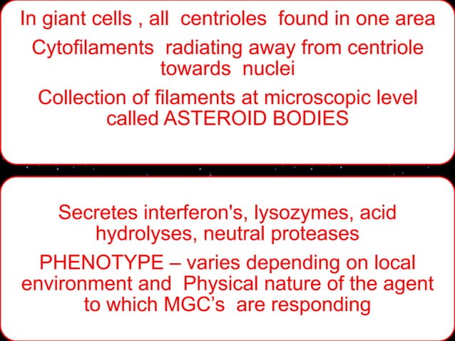 Giant cells | PPTX | Biological Sciences | Science