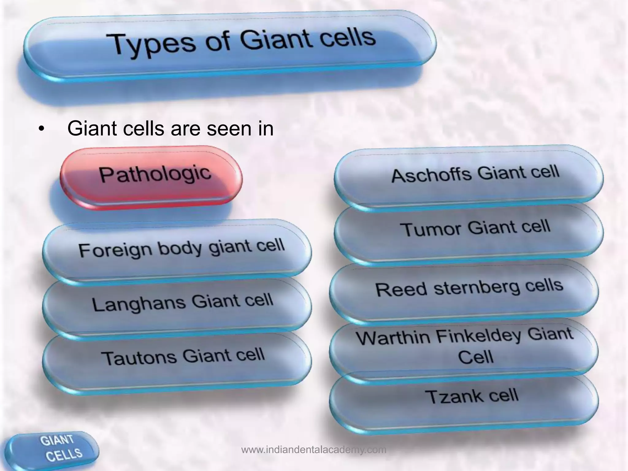 Types of Giant cells /endodontic courses | PPTX