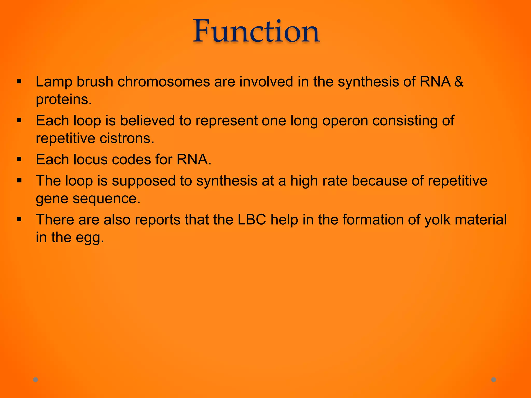 Giant chromosomes-lampbrush & Polytene | PPTX
