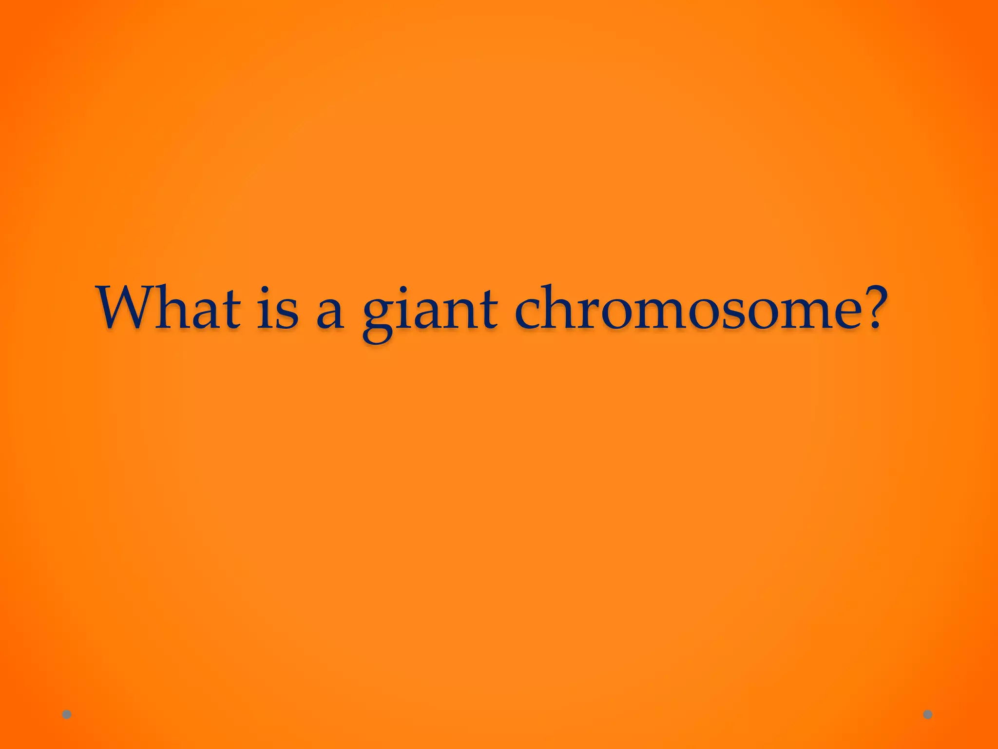 Giant chromosomes-lampbrush & Polytene | PPTX