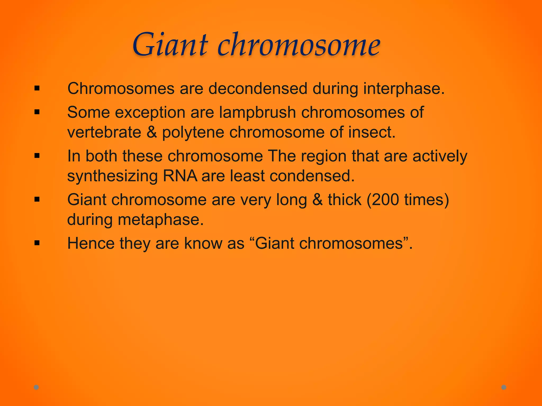Giant chromosomes-lampbrush & Polytene | PPTX