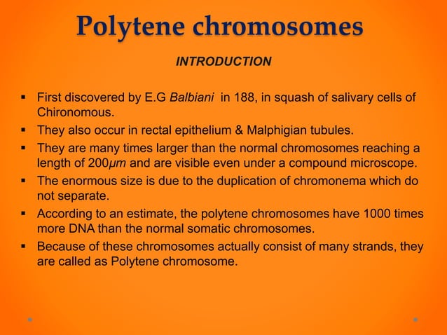 Giant chromosomes-lampbrush & Polytene | PPTX